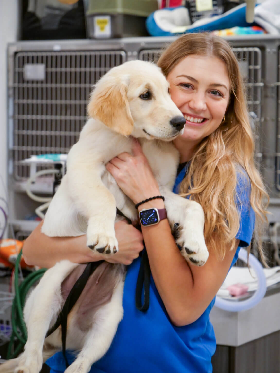 St Louis Park Veterinarian - Oak Knoll Animal Hospital